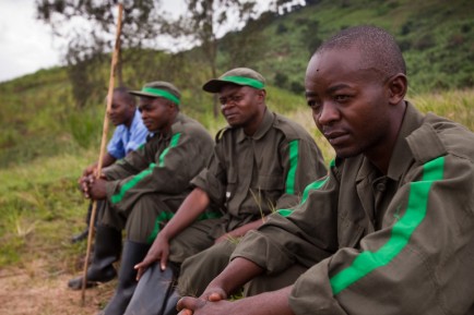 Congo Basin rangers: as threatened as the wildlife they protect - ENACT ...