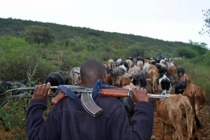 Cattle rustling: a flourishing illicit market in East Africa - ENACT Africa