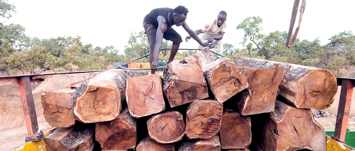 JNIM cuts a path into southern Mali | ENACT Africa