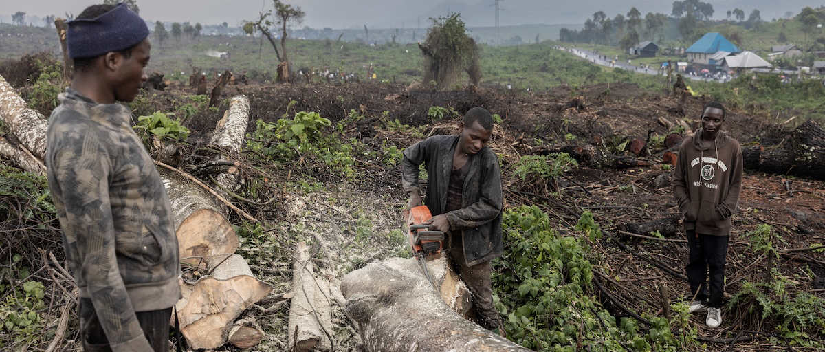 Tracing illegal timber from the DRC’s forests to Asian markets | ENACT ...
