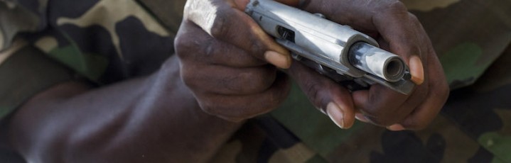 Cameroon and Nigeria renew cooperation to fight arms proliferation ...